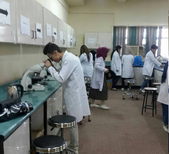 Parasitology Laboratory - Al-Kindy college